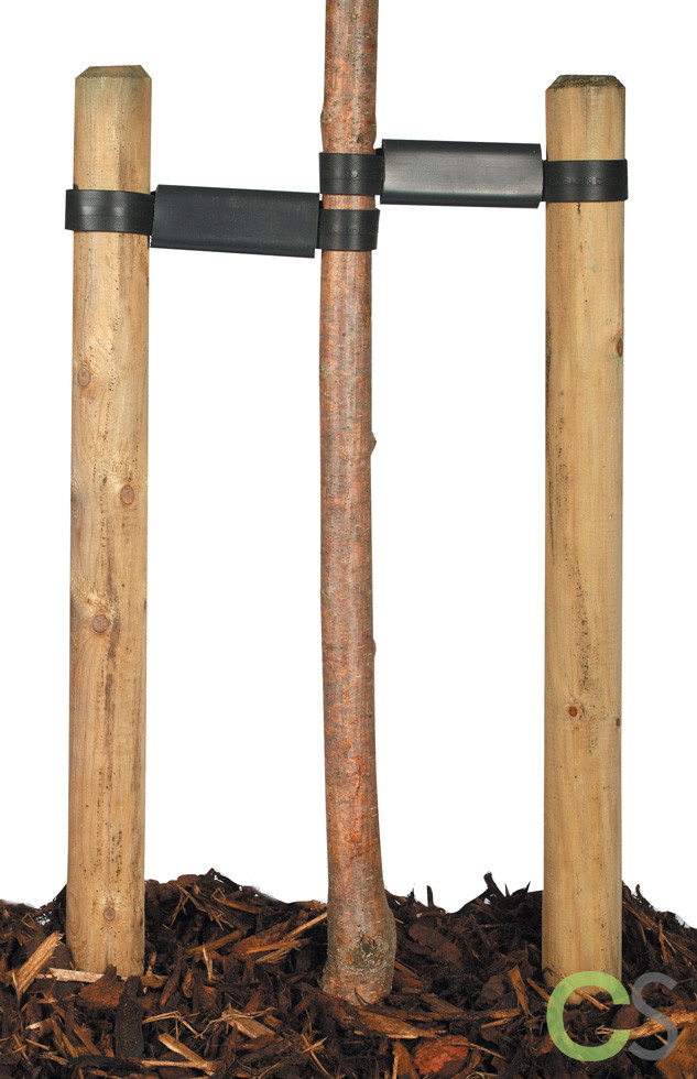 Tree Strap Jumbo Spacers 3.8cm x 30cm, Country Supplies